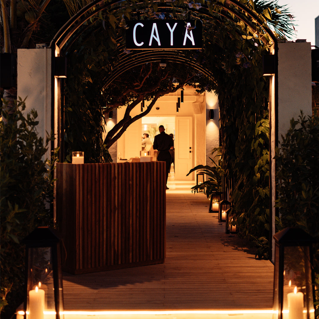 Proyectos Arquitectónicos – Bosquema